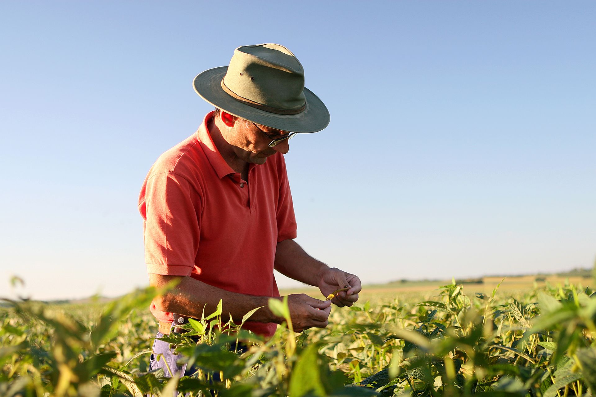 Welcome - CropLife Latin America