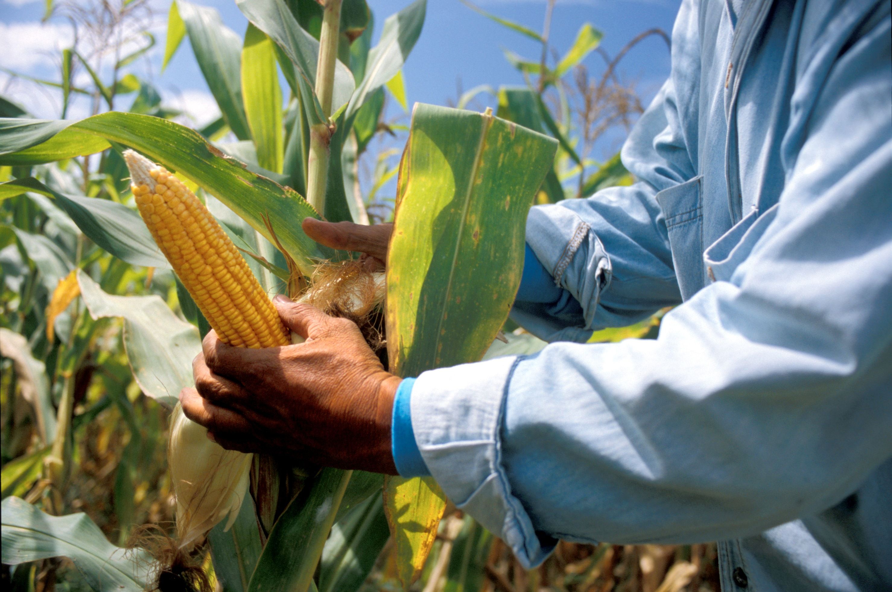 Welcome - CropLife Latin America